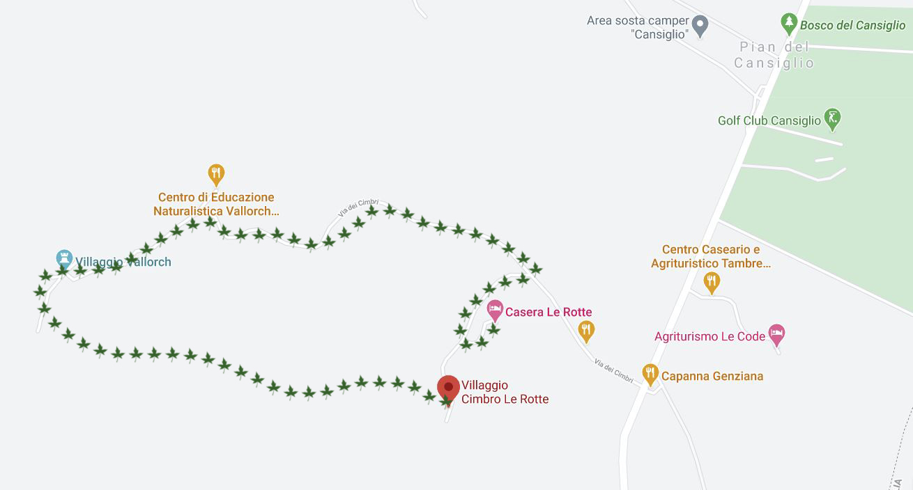SENTIERO DEI CIMBRI,ESTATE, Cansiglio BL – Tra la natura in famiglia