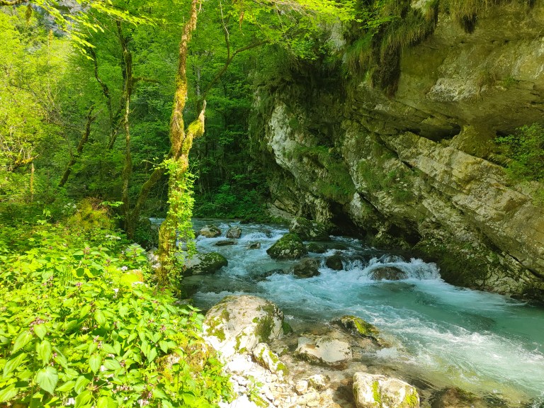 CASCATA DEL SALTON A LAMON BL – Tra la natura in famiglia